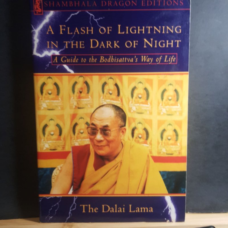 A Flash of Lightning in the Dark of Night by Dalai Lama, Padmakara ...
