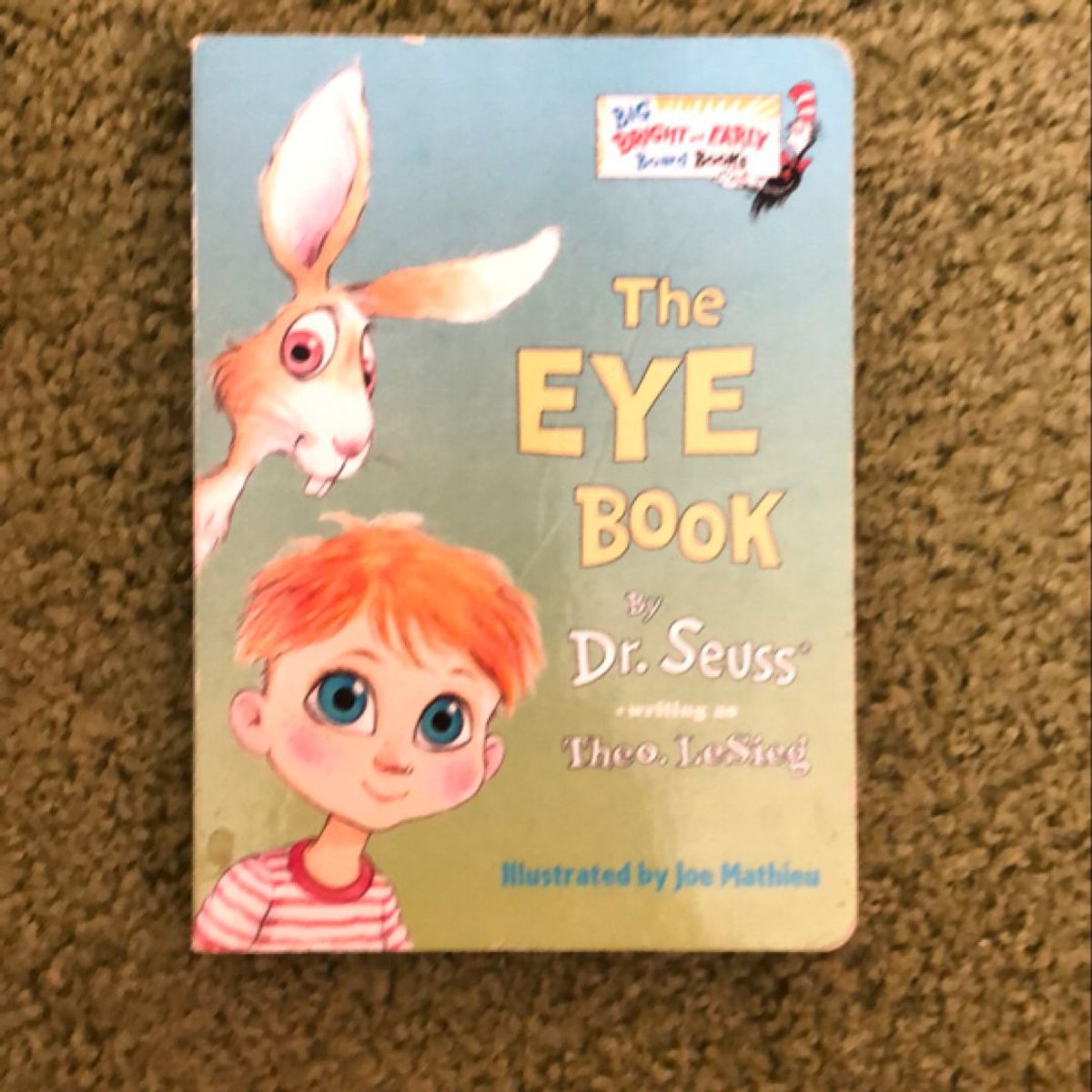 The Eye Book by Theo LeSieg
