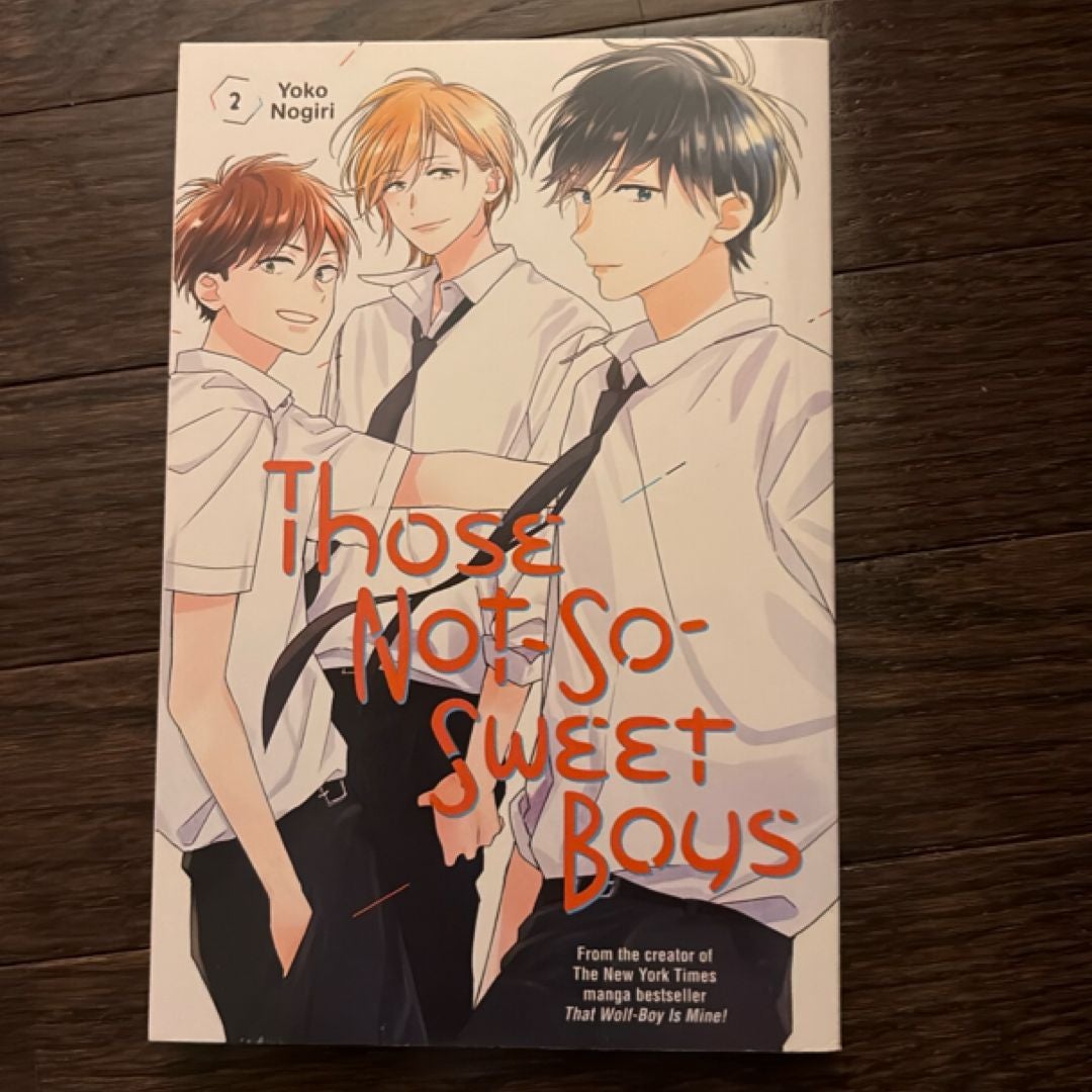 Those Not-So-Sweet Boys 2 by Yoko Nogiri