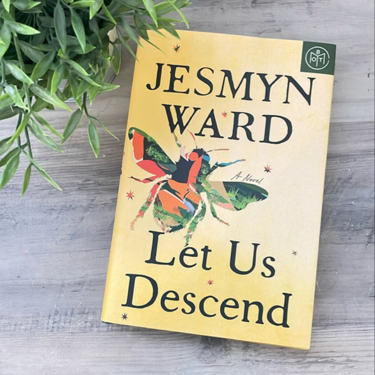 Let Us Descend by Jesmyn Ward