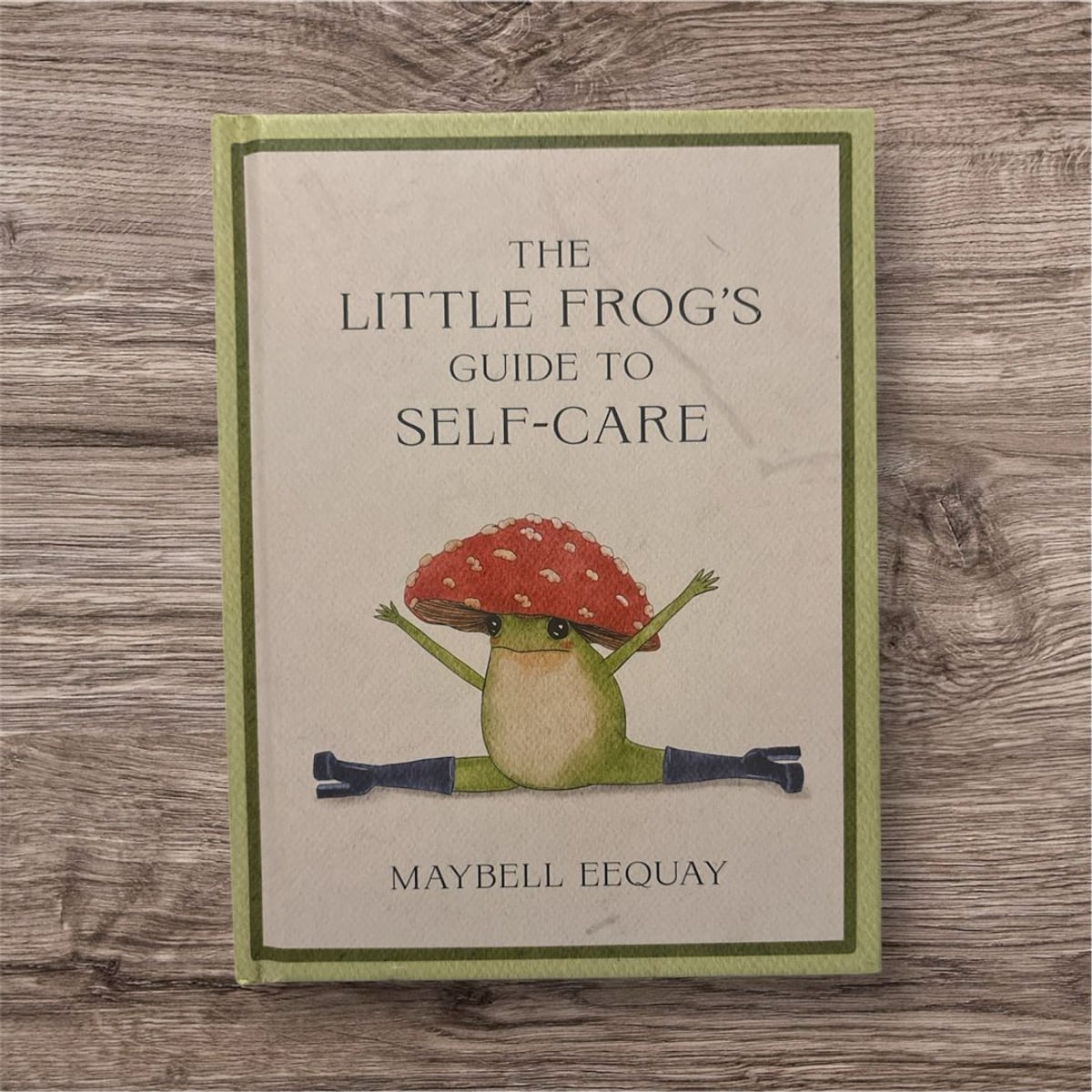 The Little Frog's Guide to Self-Care by Maybell Eequay