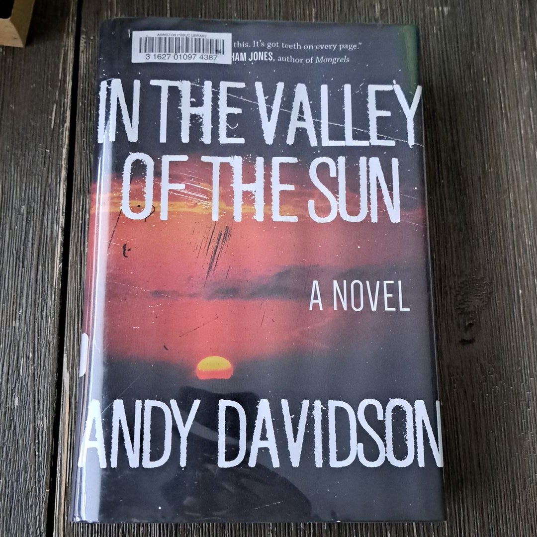 In the Valley of the Sun by Andy Davidson