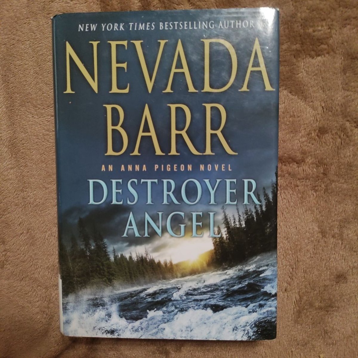 Destroyer Angel by Nevada Barr