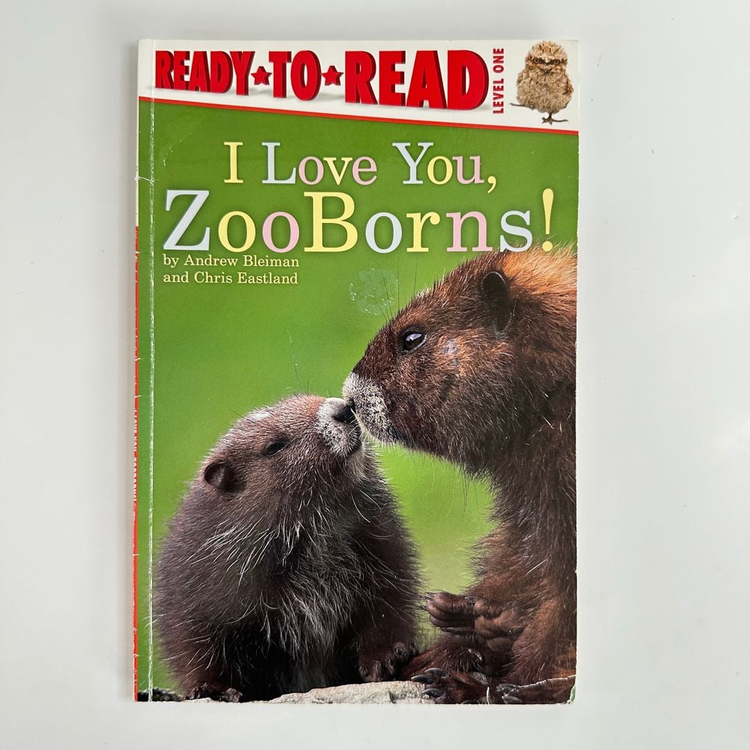 I Love You, Zoo Borns!, Early Reader by Andrew Bleiman, Paperback ...