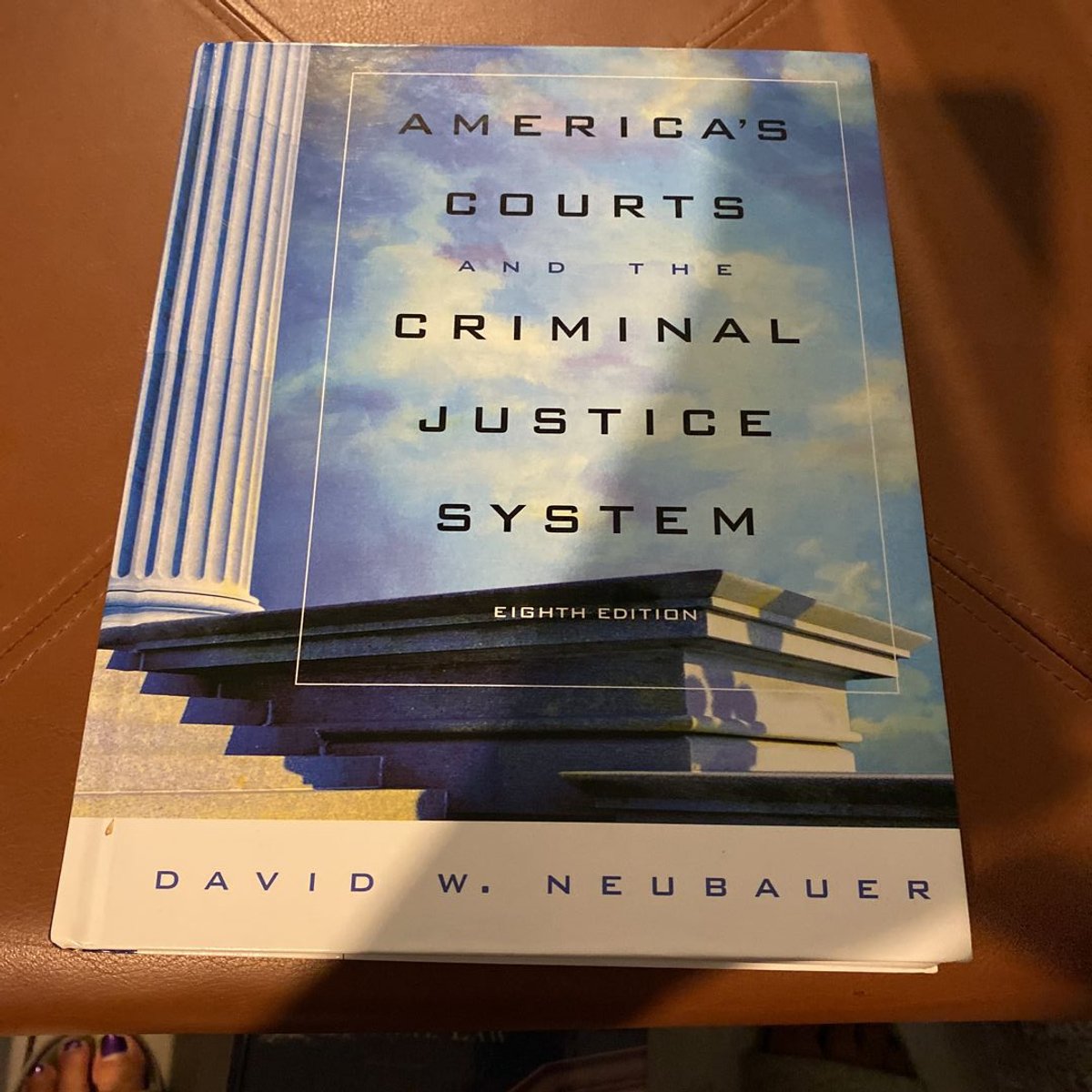 America's Courts by David W. Neubauer