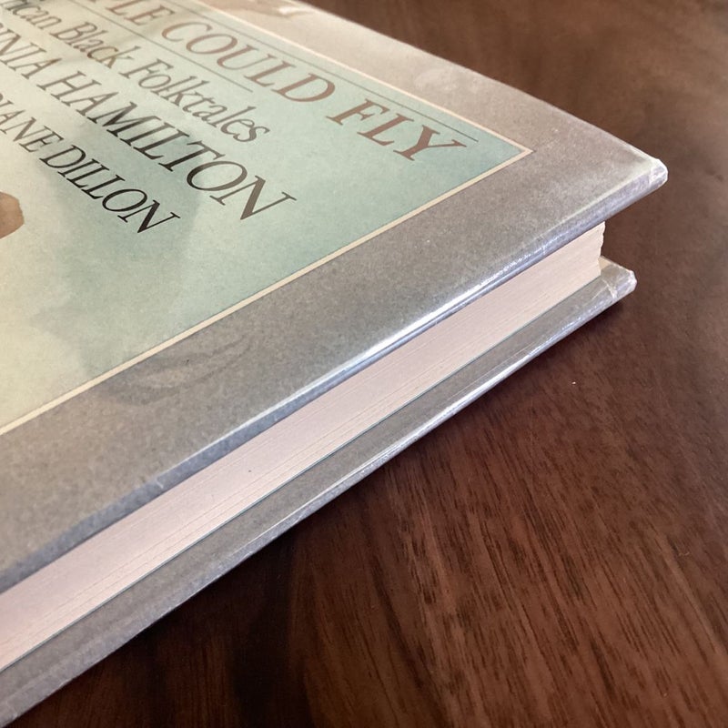 The People Could Fly by Virginia Hamilton, Hardcover | Pangobooks