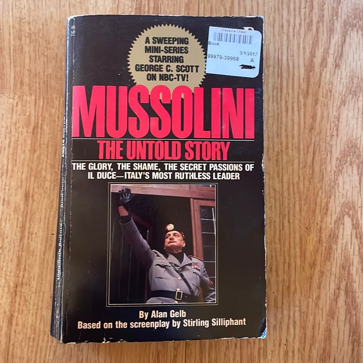 Mussolini TV by Alan Gelb