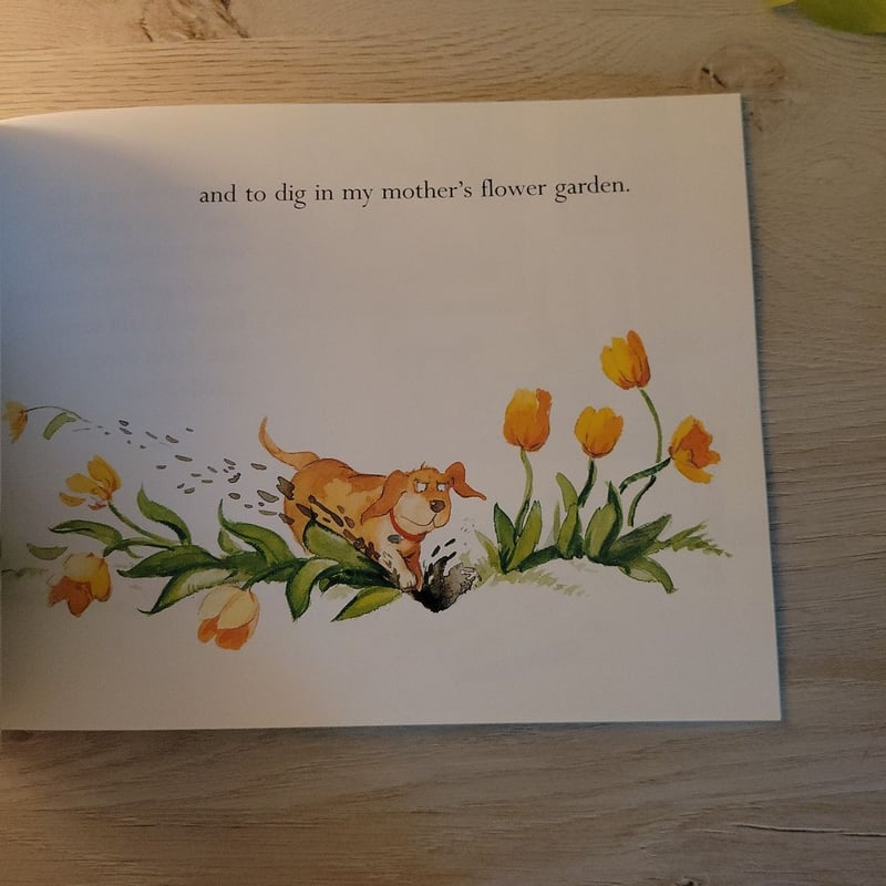 I'll Always Love You by Hans Wilhelm, Paperback | Pangobooks