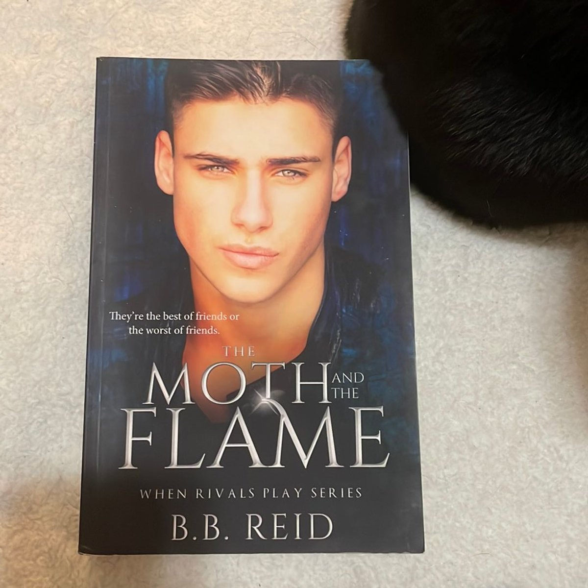 The Moth and the Flame by B. B. Reid