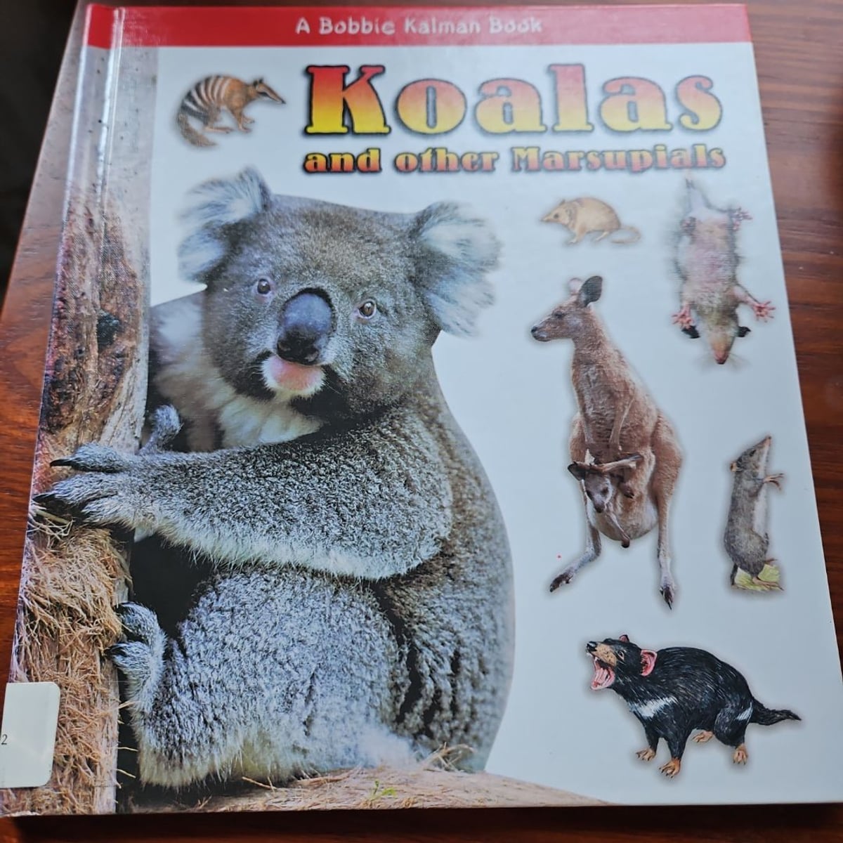 Koalas and Other Marsupials by Bobbie Kalman, Robin Johnson