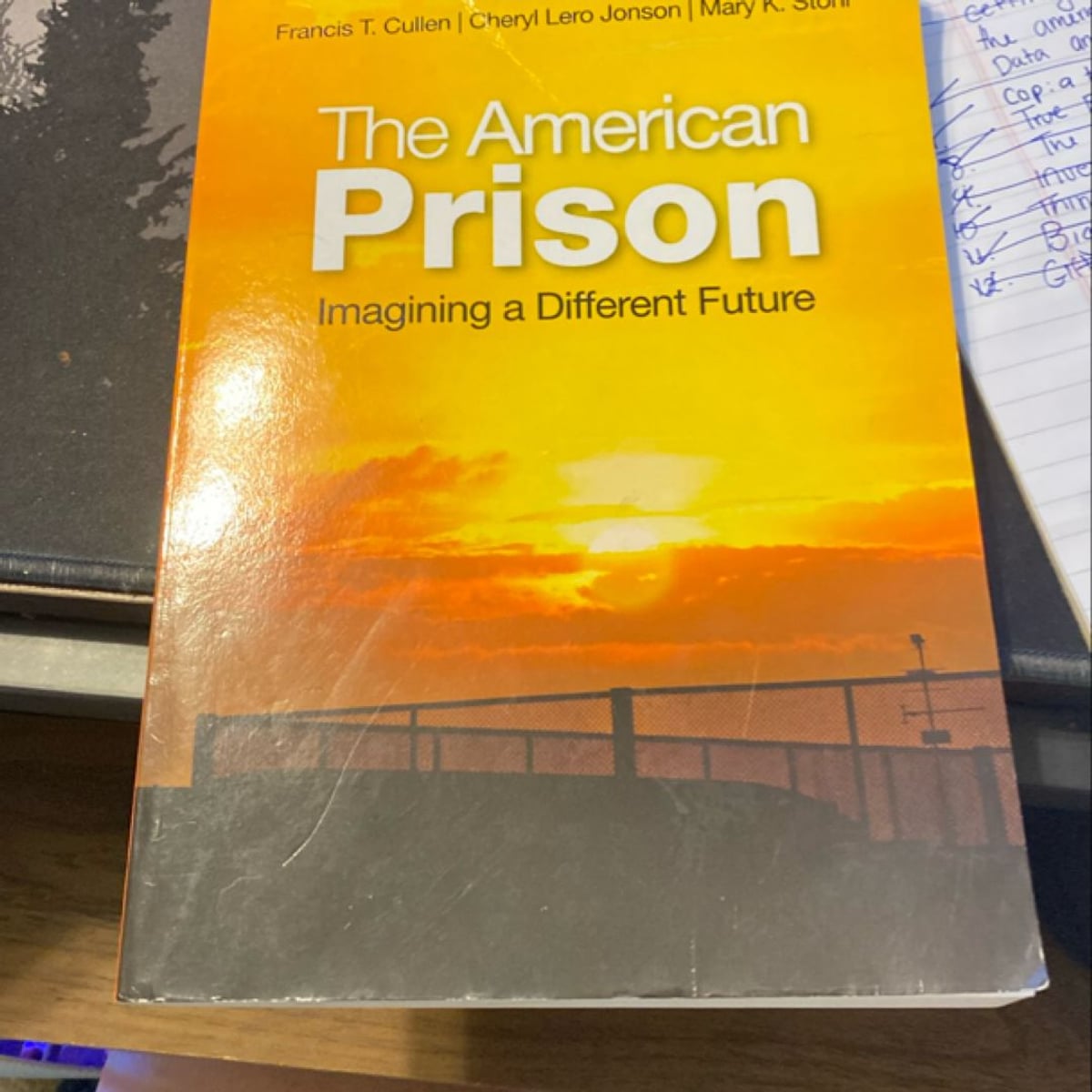 The American Prison by Francis T. Cullen