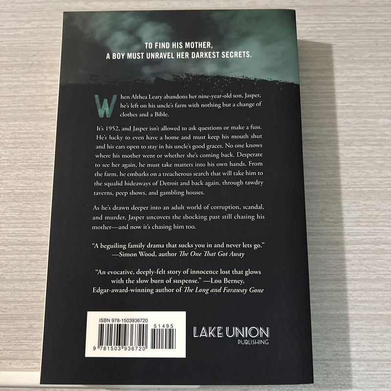 The Buried Book by D. M. Pulley