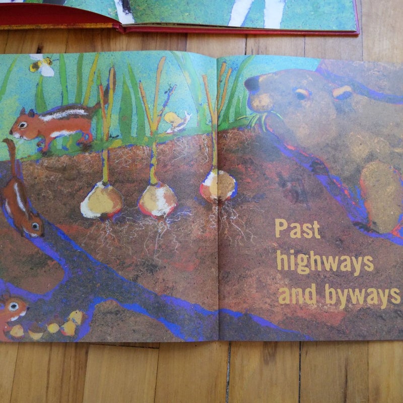 Barnyard Banter, UnderGround, Duck at the Door, Barn Storm by Denise ...