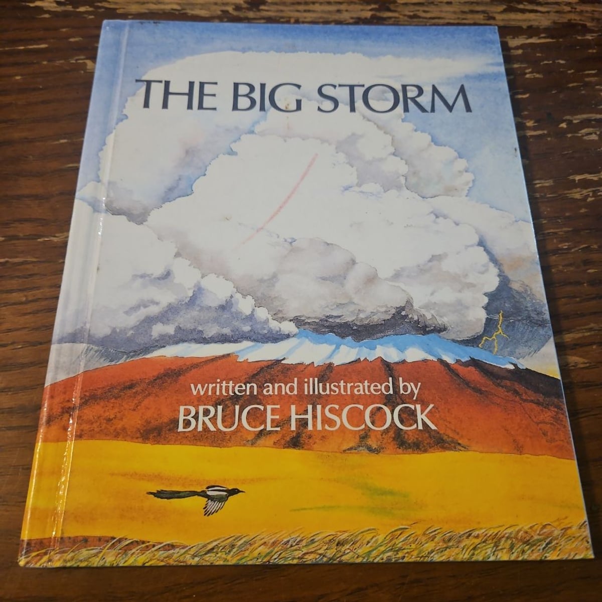 The Big Storm by Bruce Hiscock