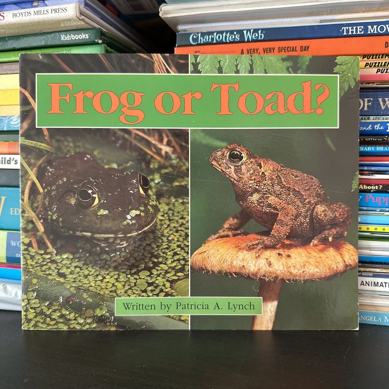 Frog or Toad? by Patricia A. Lynch, Paperback | Pangobooks