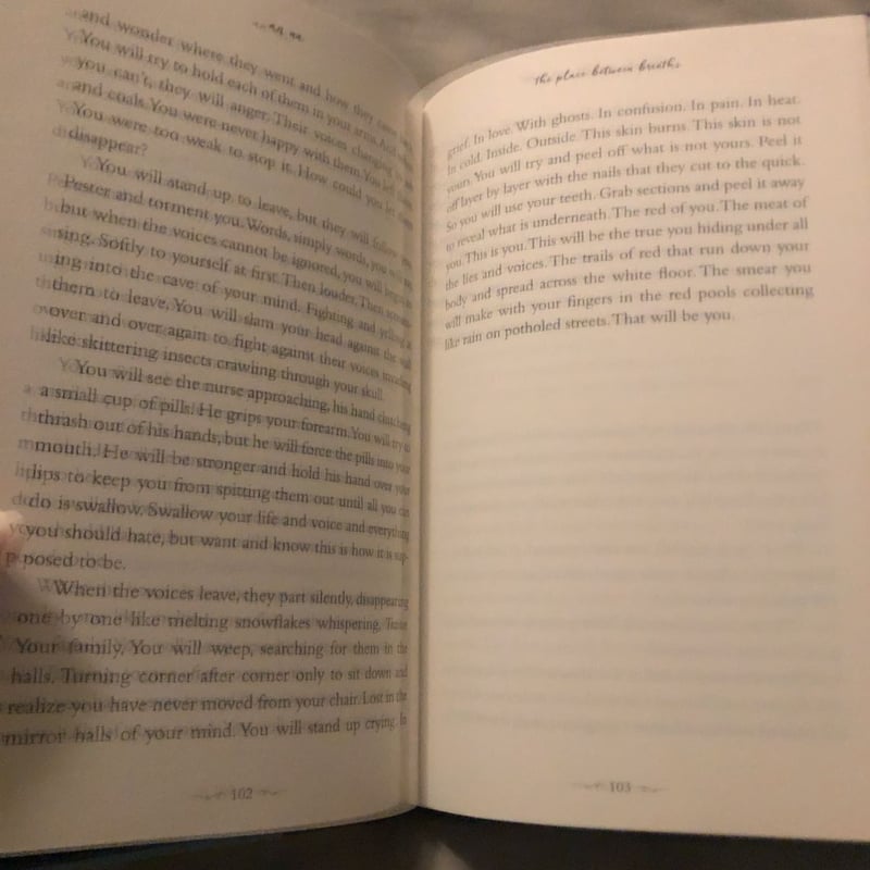 The Place Between Breaths by