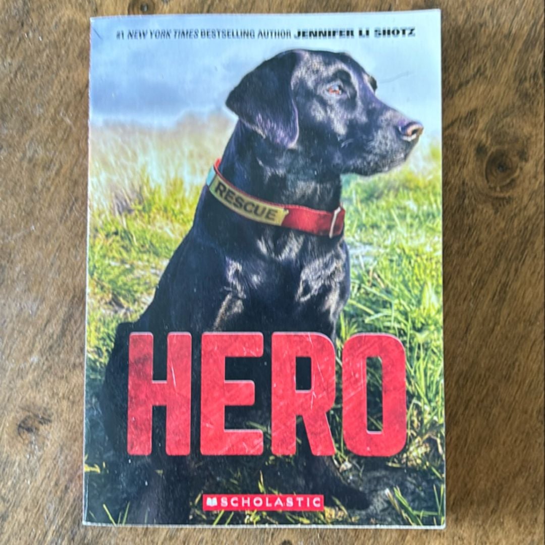 Hero by Jennifer Li Shotz, Paperback | Pangobooks