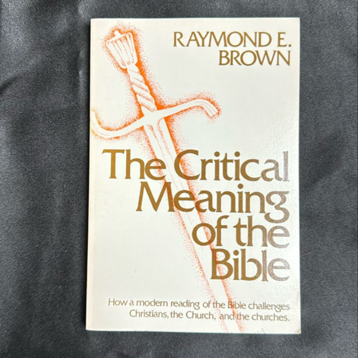 The Critical Meaning of the Bible by Raymond E. Brown