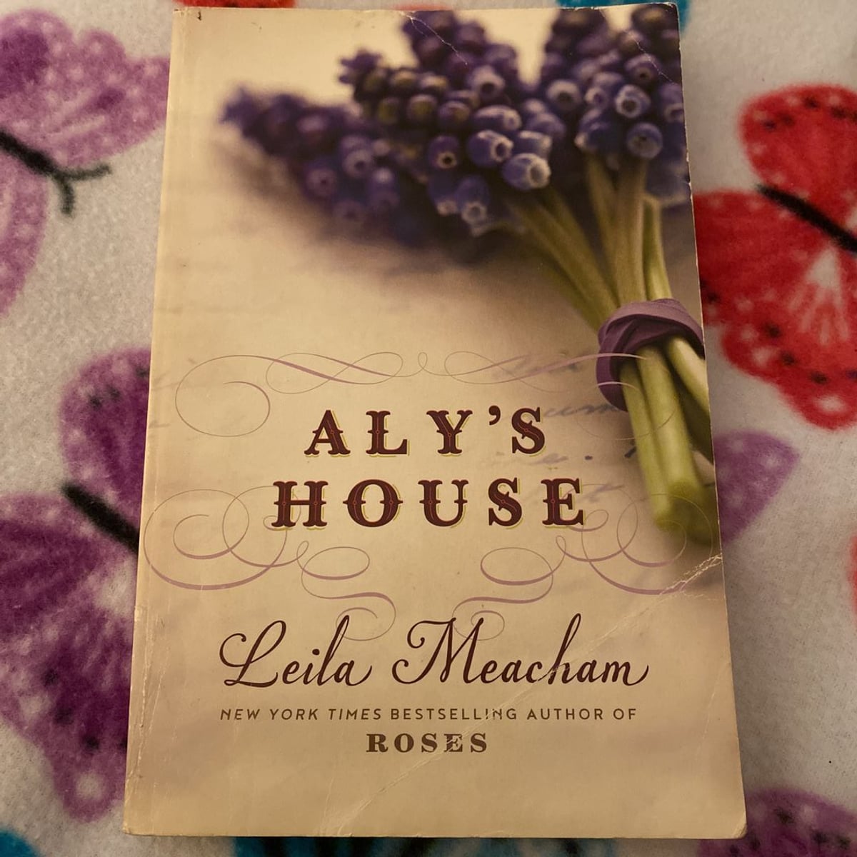 Aly's House by Leila Meacham, Paperback | Pangobooks