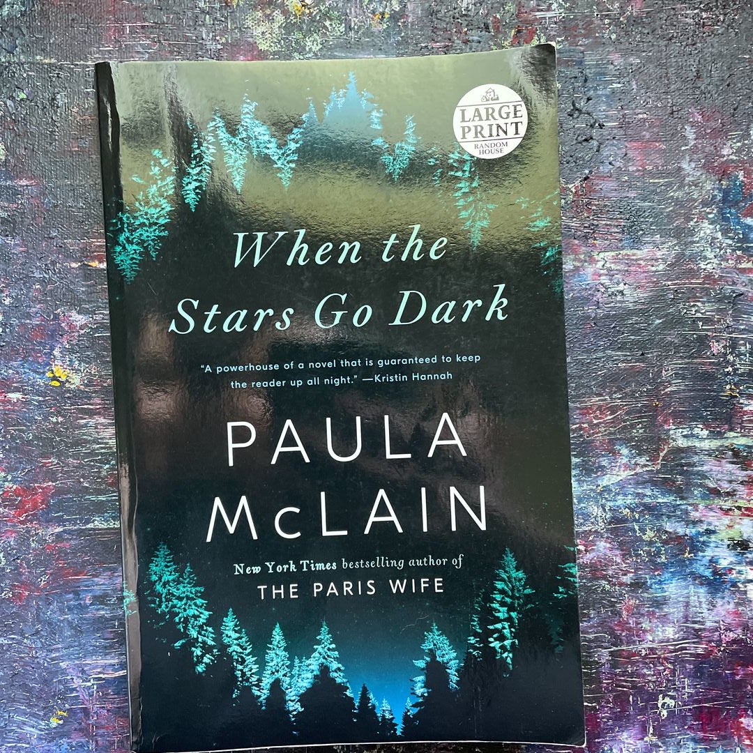 When the Stars Go Dark by Paula McLain, Paperback | Pangobooks