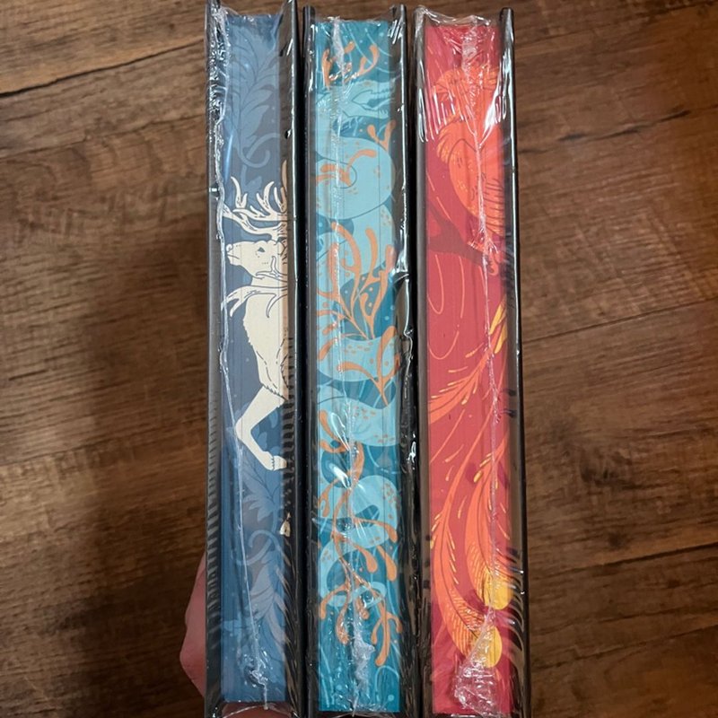 Shadow and Bone series OwlCrate by Leigh Bardugo, Hardcover | Pangobooks