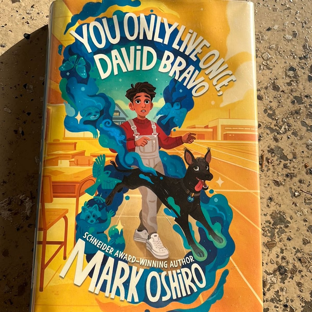 You Only Live Once, David Bravo by Mark Oshiro, Hardcover | Pangobooks