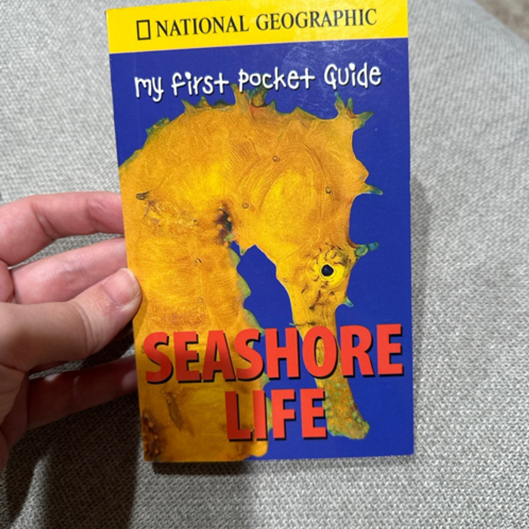 My First Pocket Guide Seashore Life (National Geographic My First ...