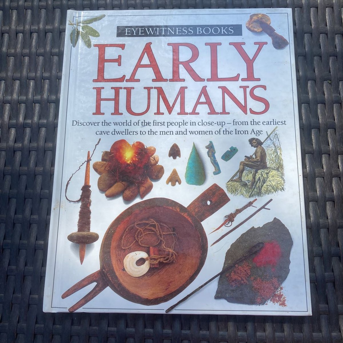 Early Humans by Nick Merriman, Dave King