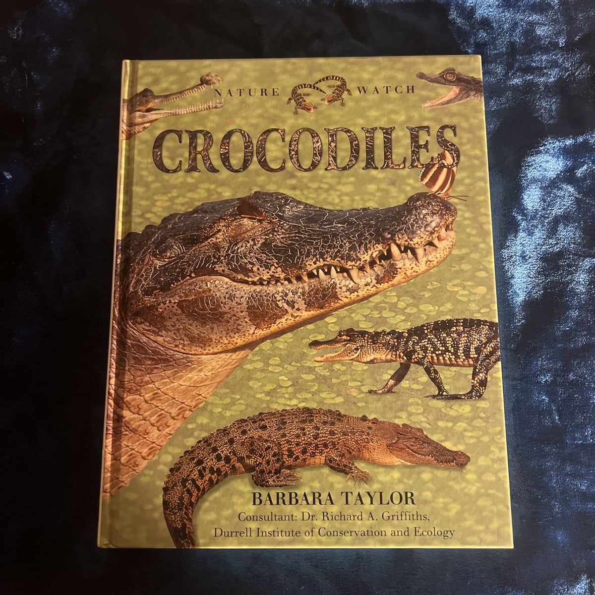Crocodiles by Barbara Taylor