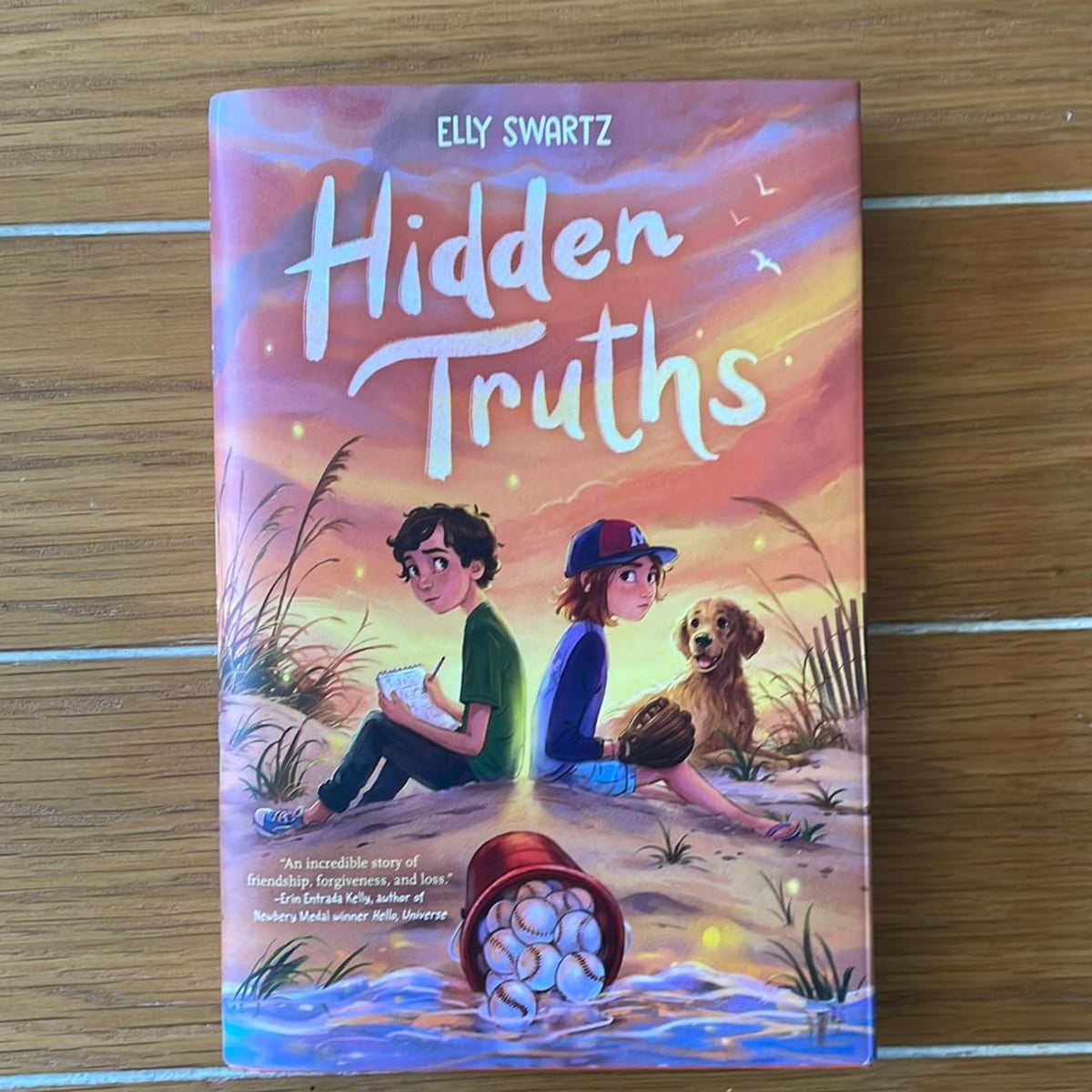 Hidden Truths by Elly Swartz