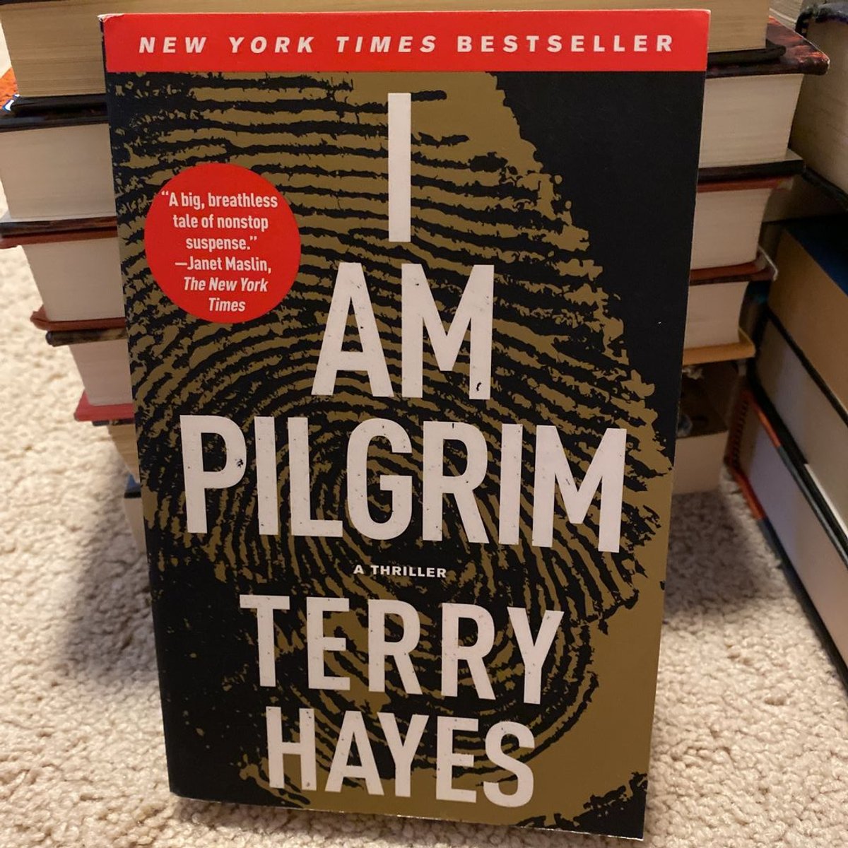I Am Pilgrim by Terry Hayes