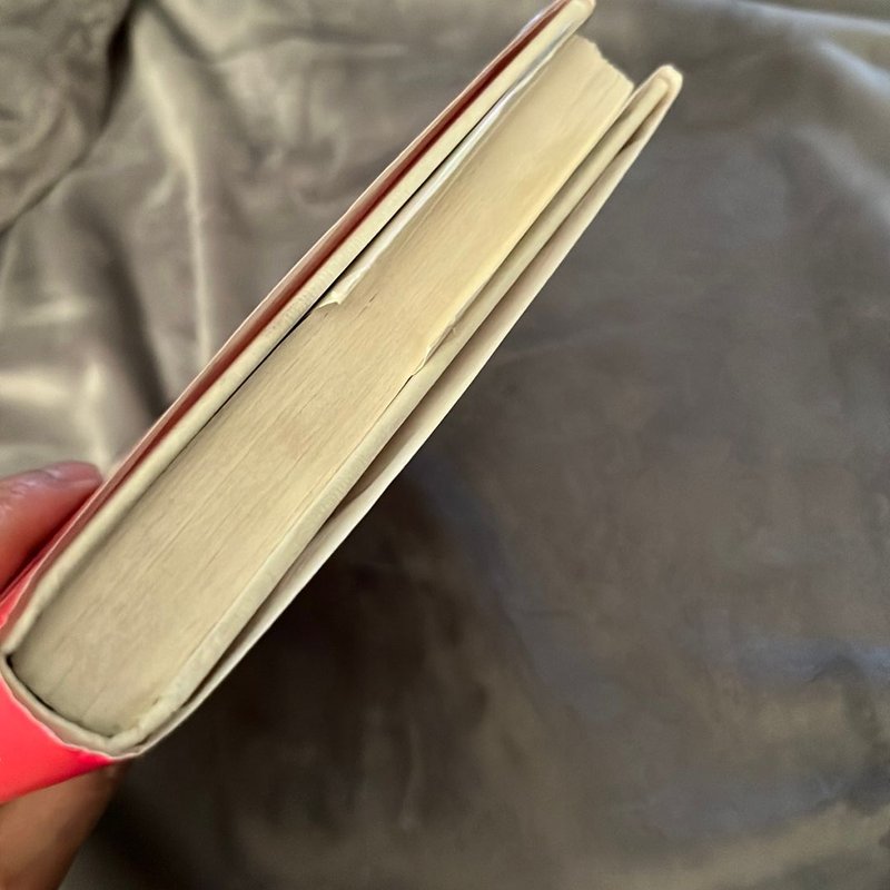 The Truth Book by Joy Castro, Hardcover | Pangobooks