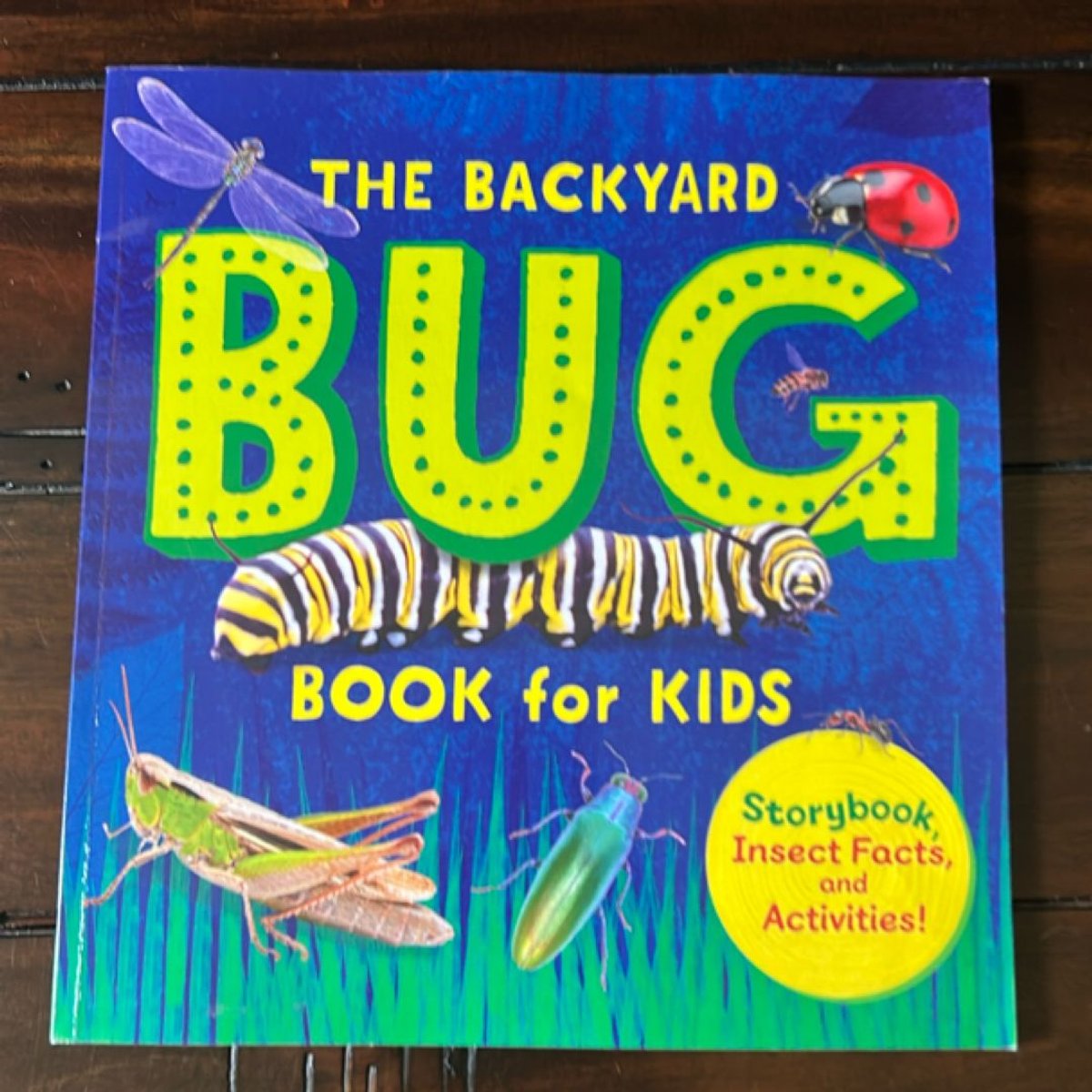 The Backyard Bug Book for Kids by Lauren Davidson