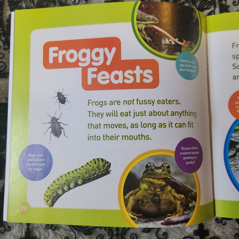 National Geographic KIDS Frogs by Marfe Ferguson Delano, Paperback | Pangobooks