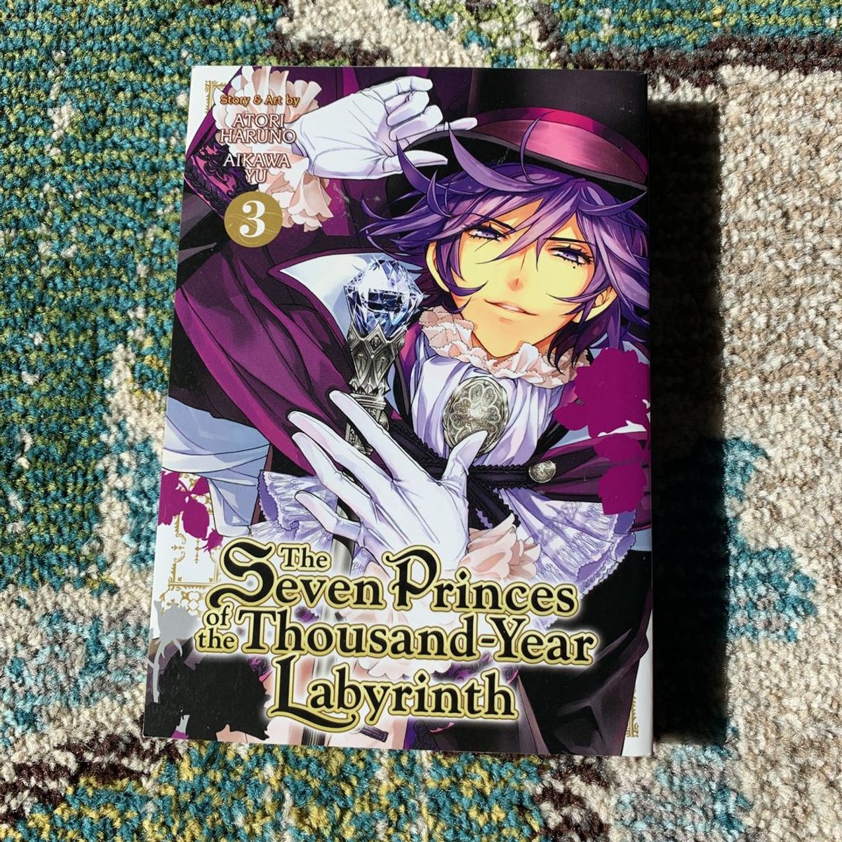 The Seven Princes of the Thousand-Year Labyrinth Vol. 3 by Aikawa Yu