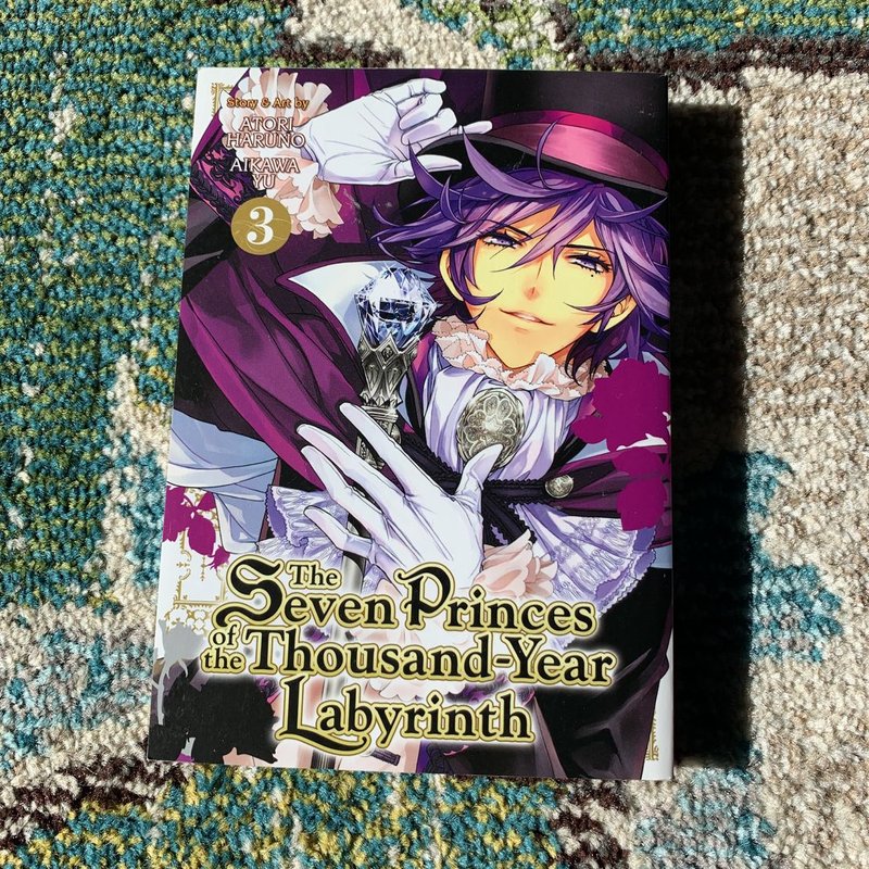 The Seven Princes of the Thousand-Year Labyrinth Vol. 3 by Aikawa Yu
