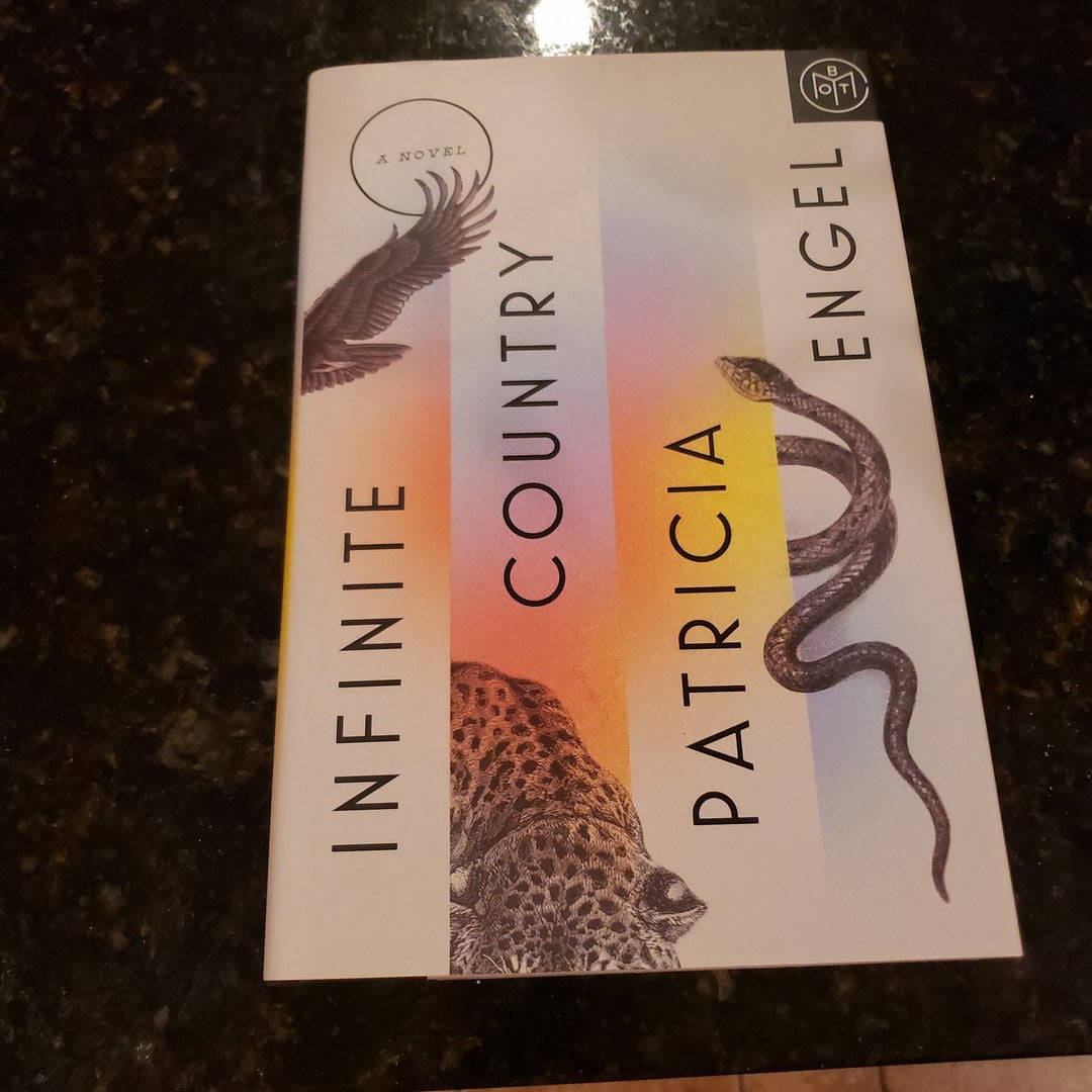 Infinite Country by Patricia Engel, Hardcover | Pangobooks