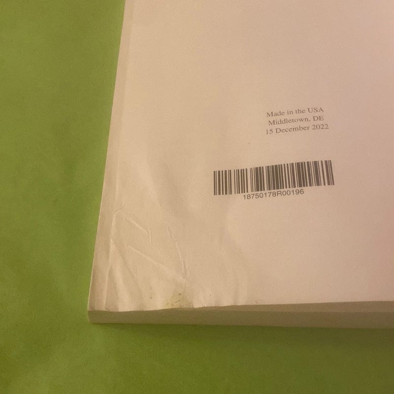 A Light in the Forest by Melissa Payne