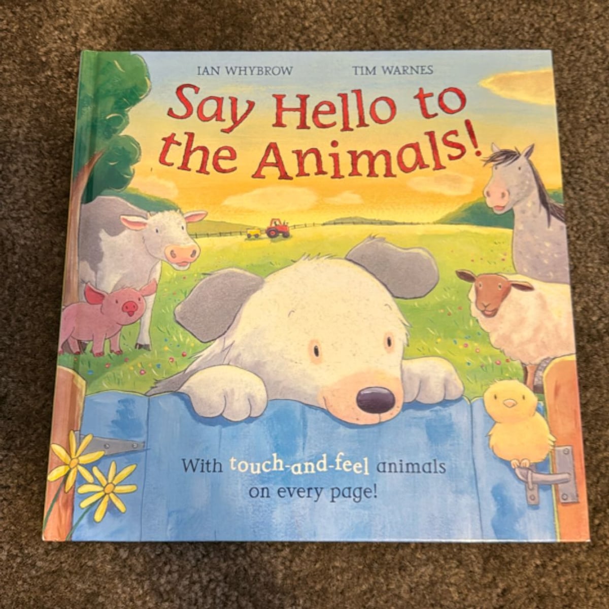 Say Hello to the Animals! by Ian Whybrow