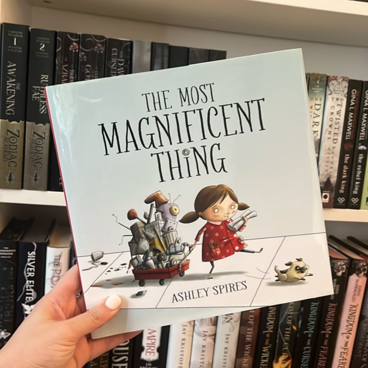 The Most Magnificent Thing by Ashley Spires