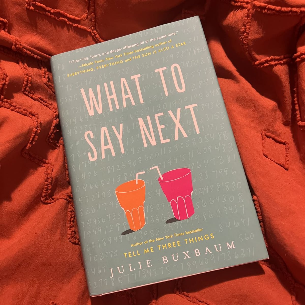 What to Say Next by Julie Buxbaum