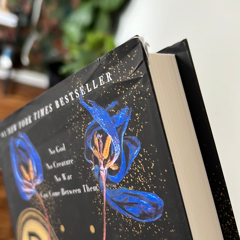 Divine Rivals by Rebecca Ross, Hardcover | Pangobooks