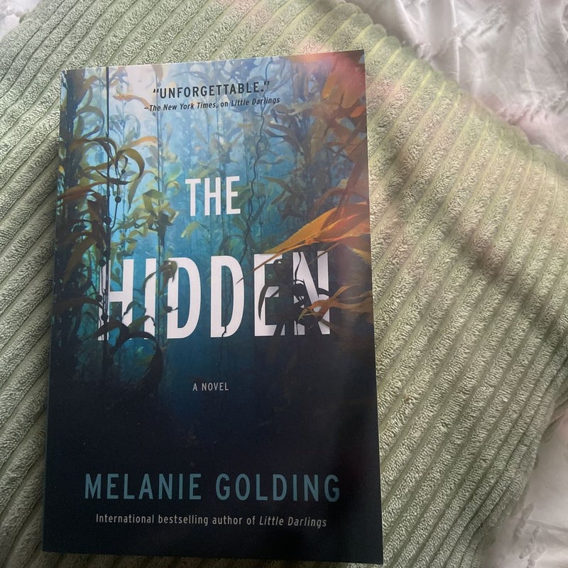 The Hidden by Melanie Golding, Paperback | Pangobooks