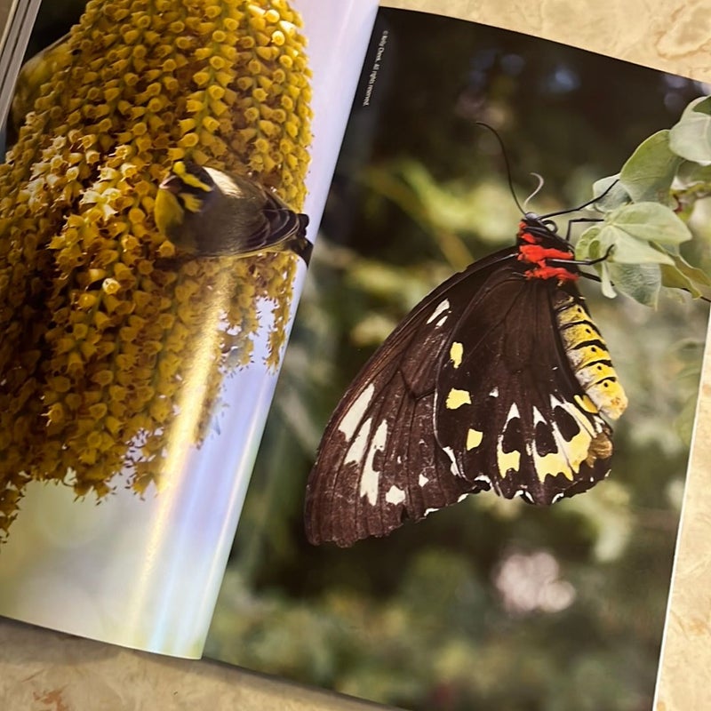 The Ultimate Gardener by Charlie Nardozzi