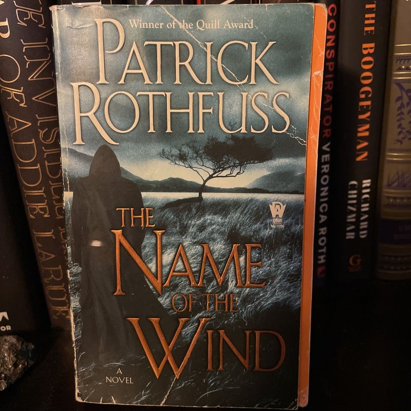 The Name of the Wind by Patrick Rothfuss