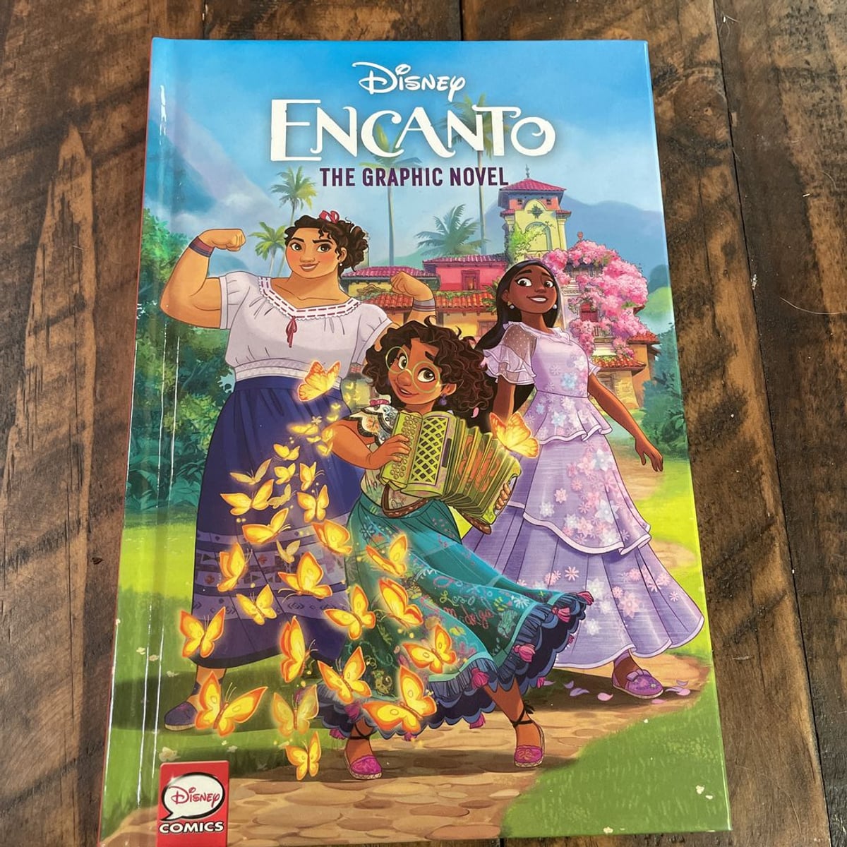 Disney Encanto: the Graphic Novel (Disney Encanto) by RH Disney ...