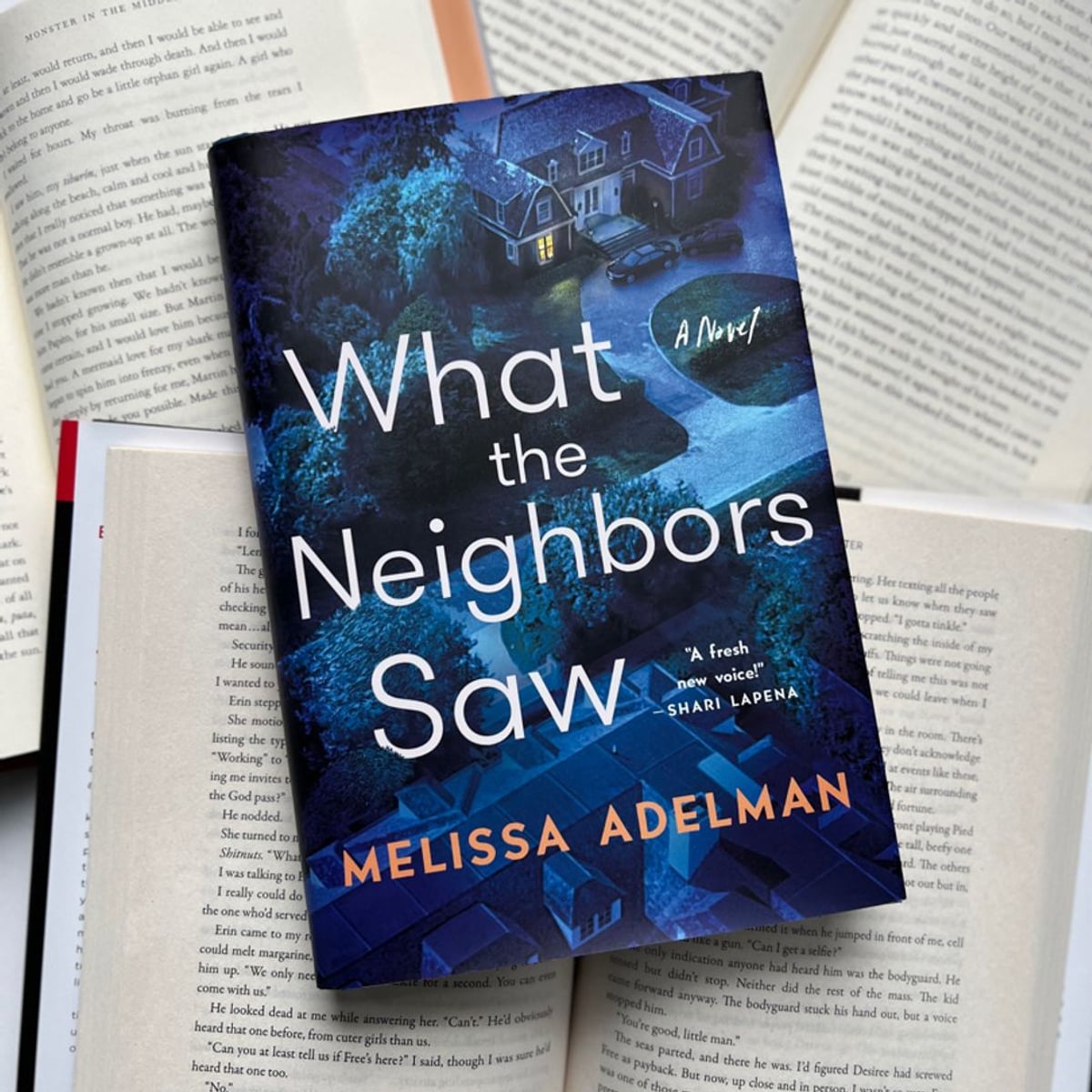 What The Neighbors Saw By Melissa Adelman
