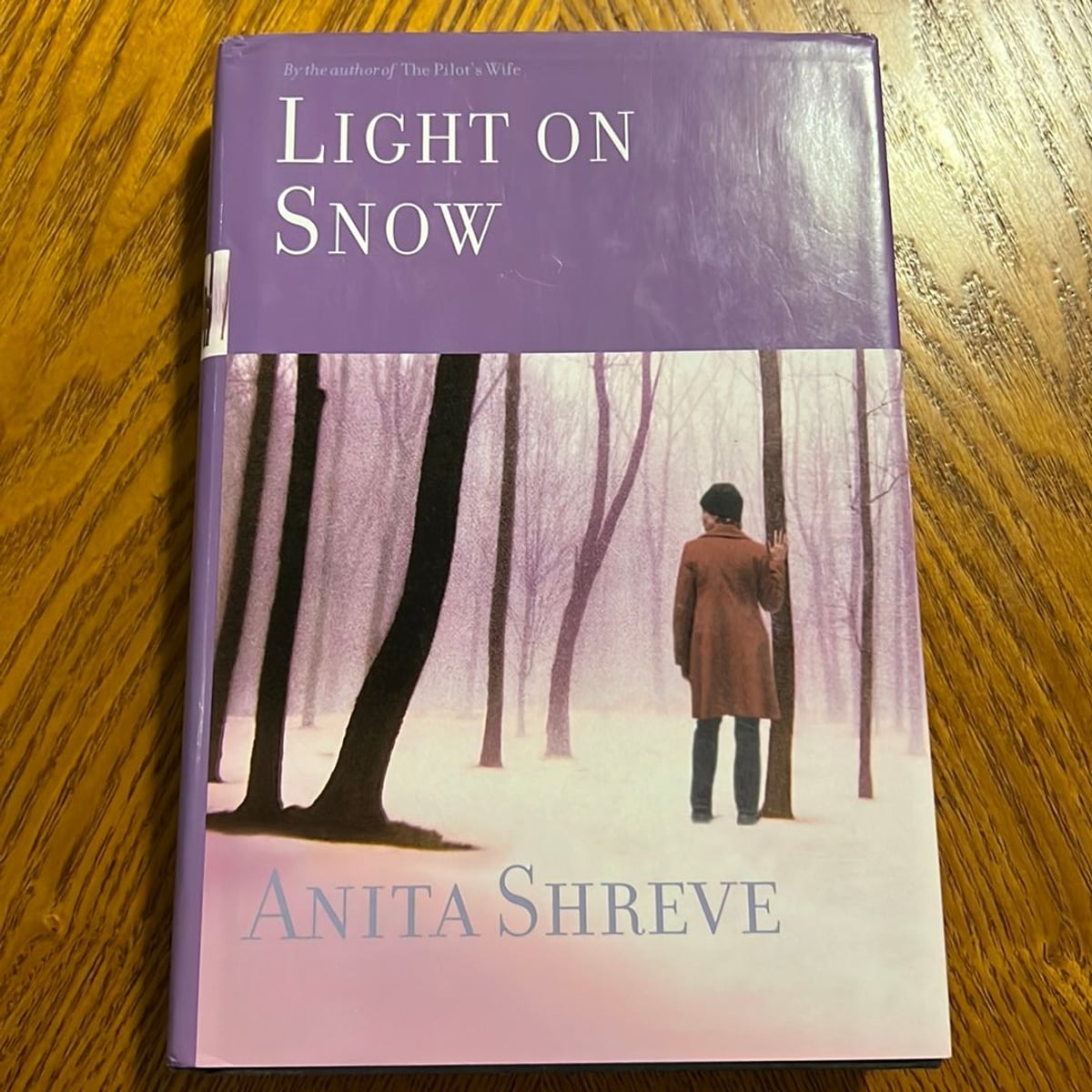 Light on Snow by Anita Shreve
