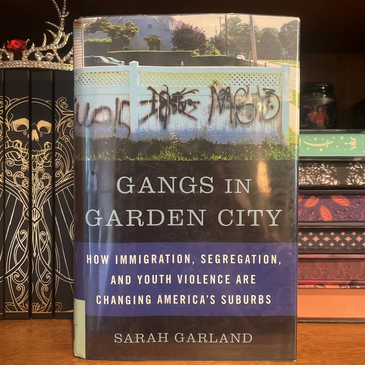Gangs in Garden City by Sarah Garland