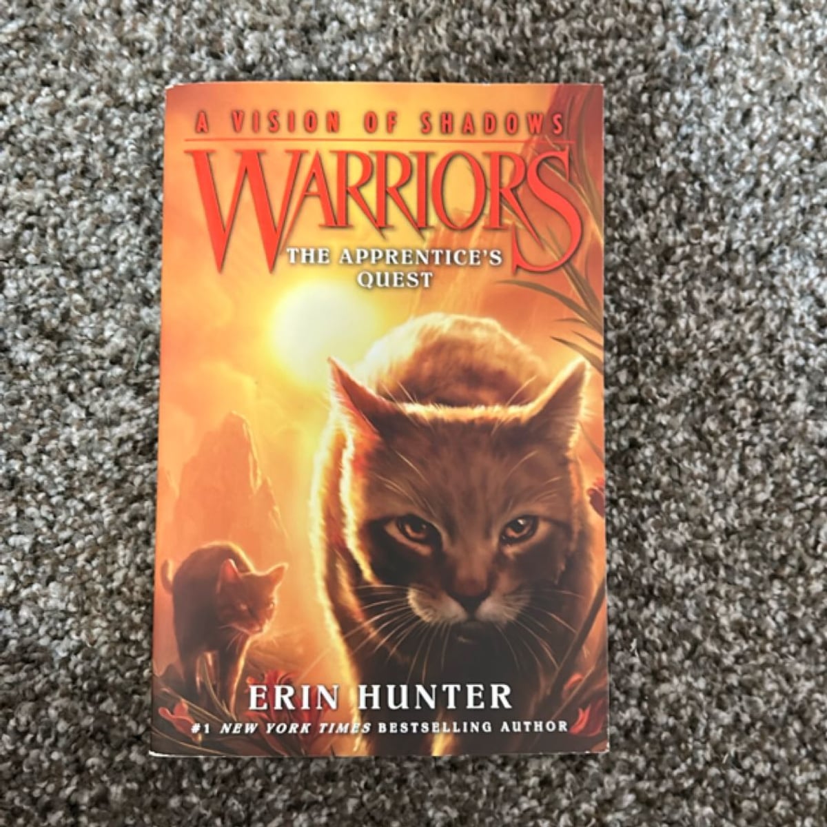 Warriors: a Vision of Shadows #1: the Apprentice's Quest by Erin Hunter